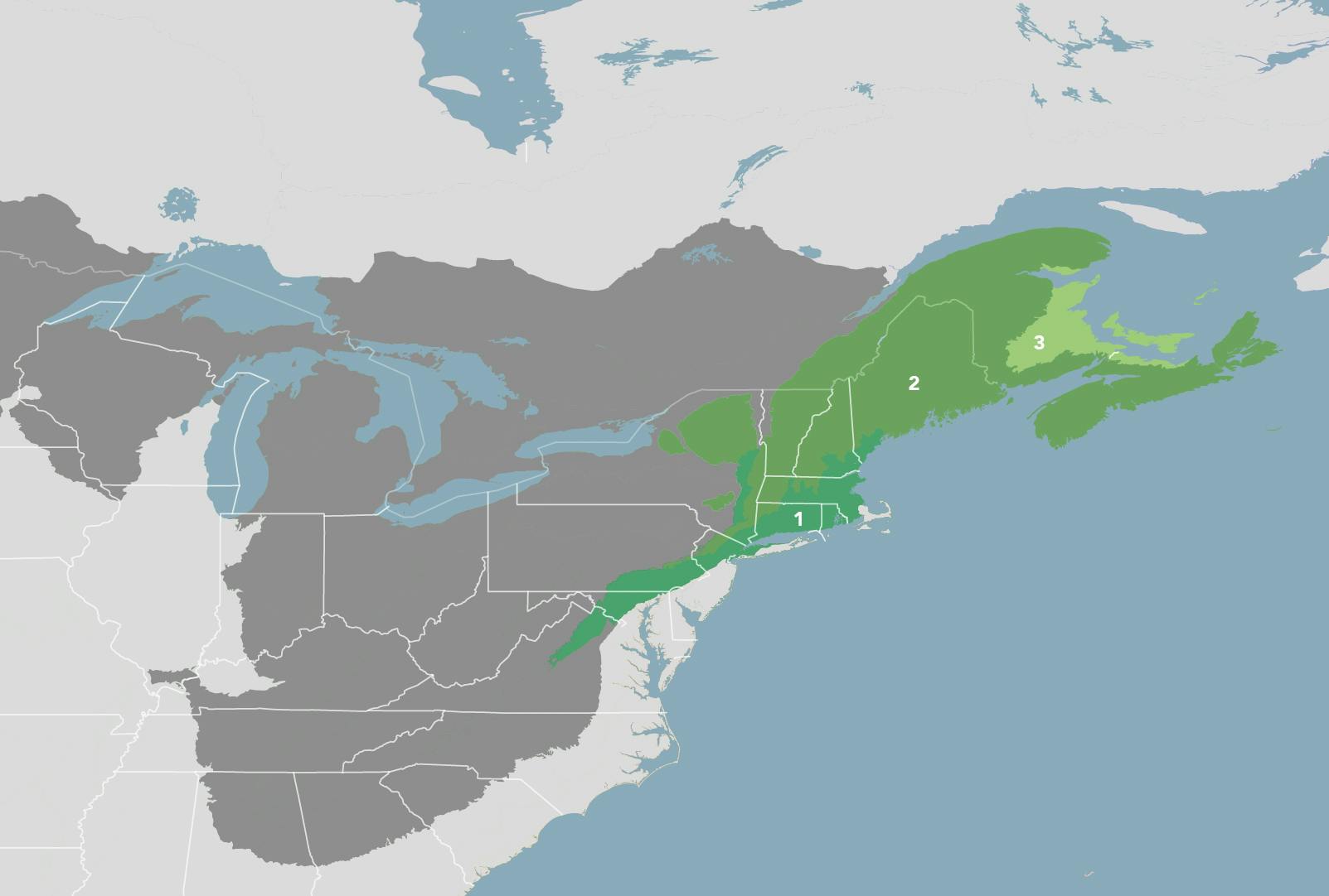 Northeastern American Mixed Forests (NA10) | One Earth