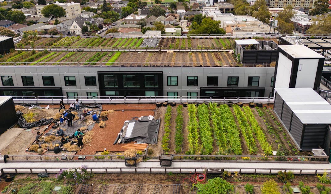 Agritecture | One Earth