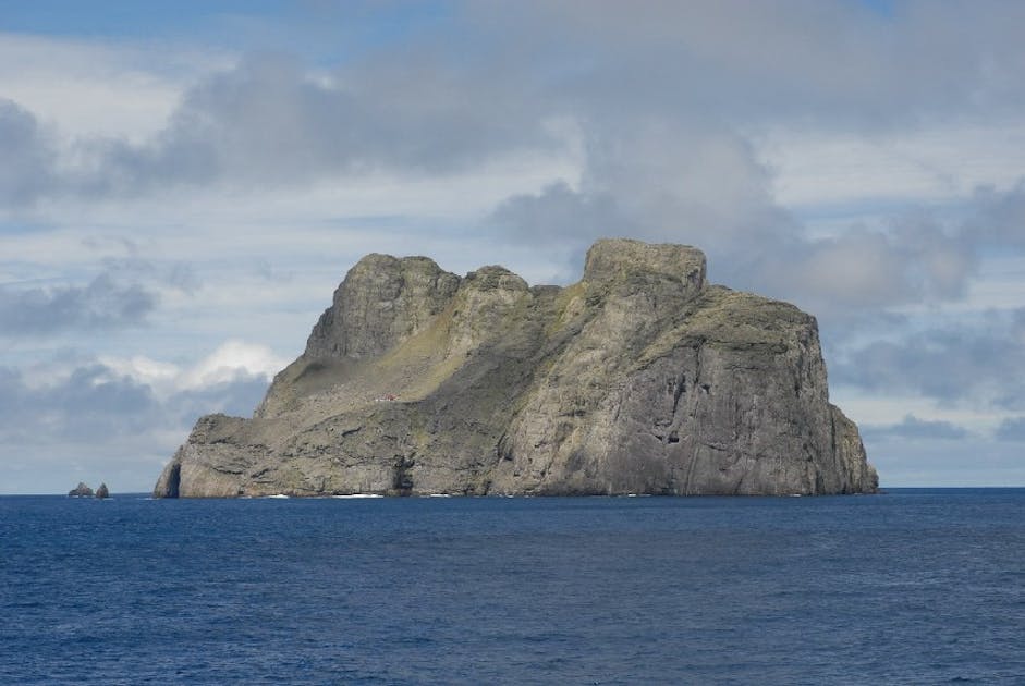 Malpelo Island Xeric Scrub | One Earth