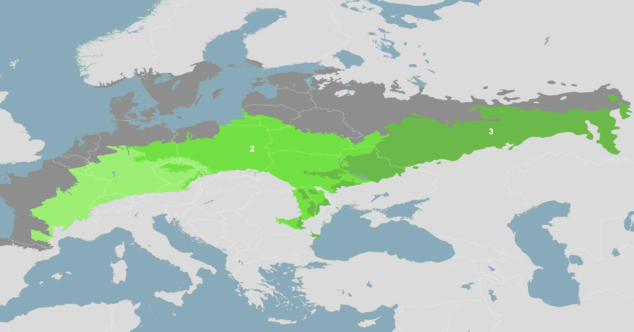 European Interior Mixed Forests (PA12) | One Earth