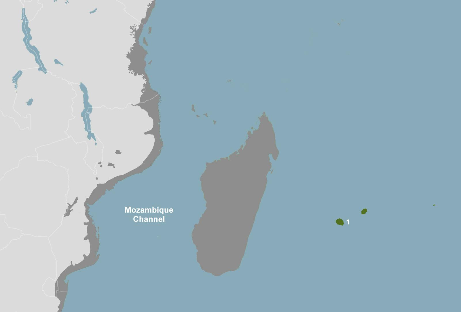 Mascarene Tropical Forest Islands (AT4) | One Earth