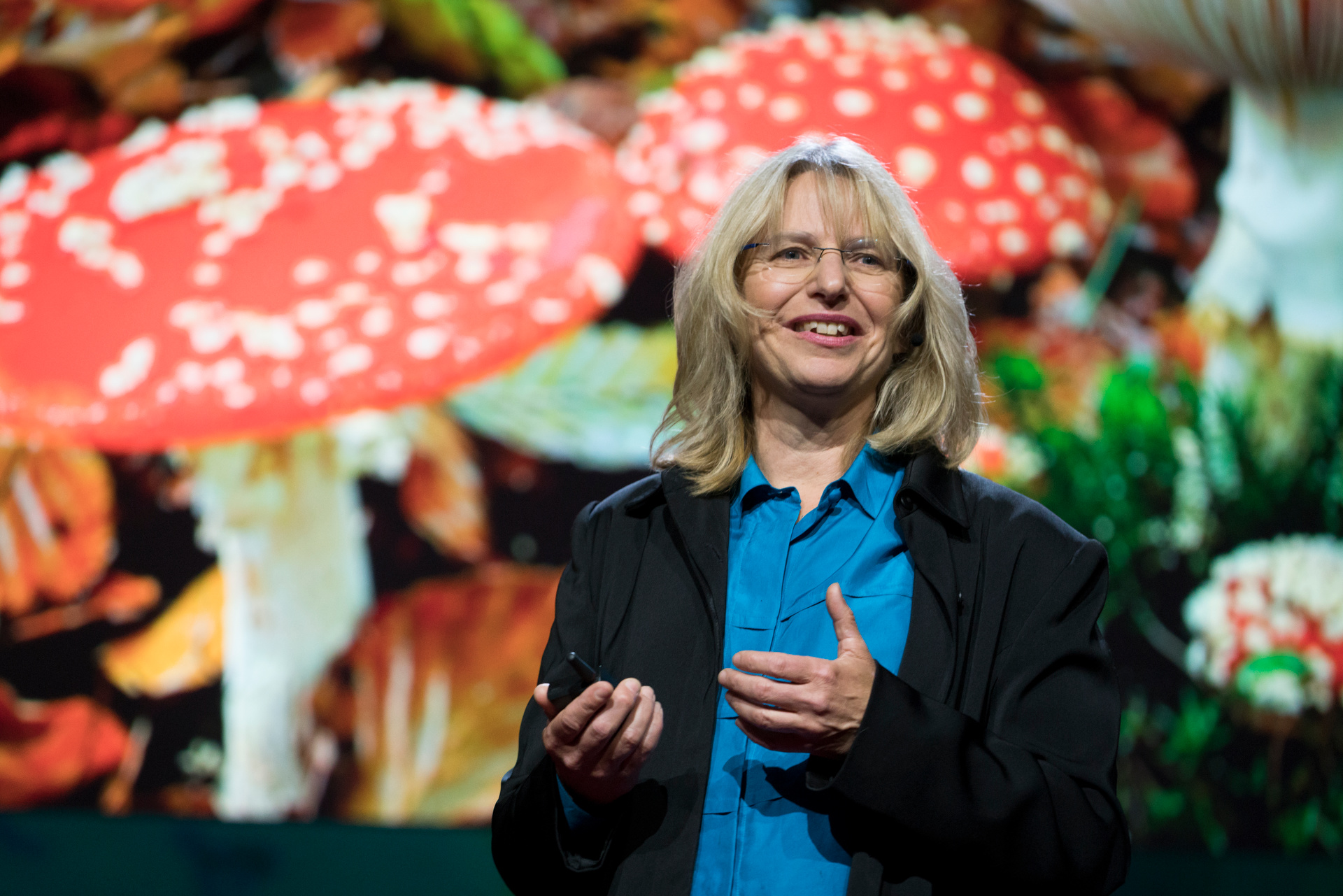 How Suzanne Simard uncovered the secret conversations of forests | One ...