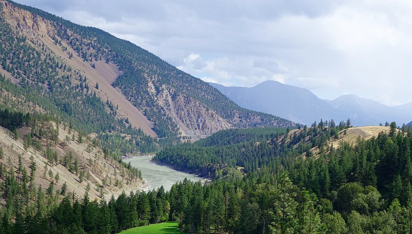 Fraser Plateau and Basin Conifer Forests | One Earth