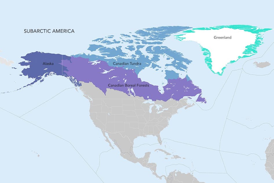 Subarctic America | One Earth