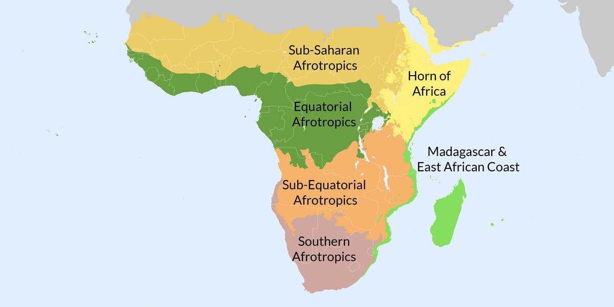 Afrotropics | Realm & Subrealms | One Earth