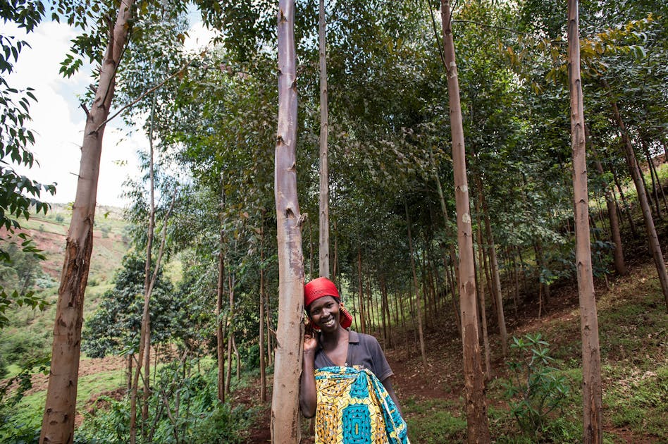 Growing Trees and Supporting Women farmers in Burundi | One Earth