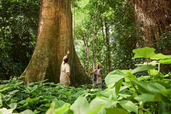 The magnificent Arctic muskox: Ice Age survivor | One Earth