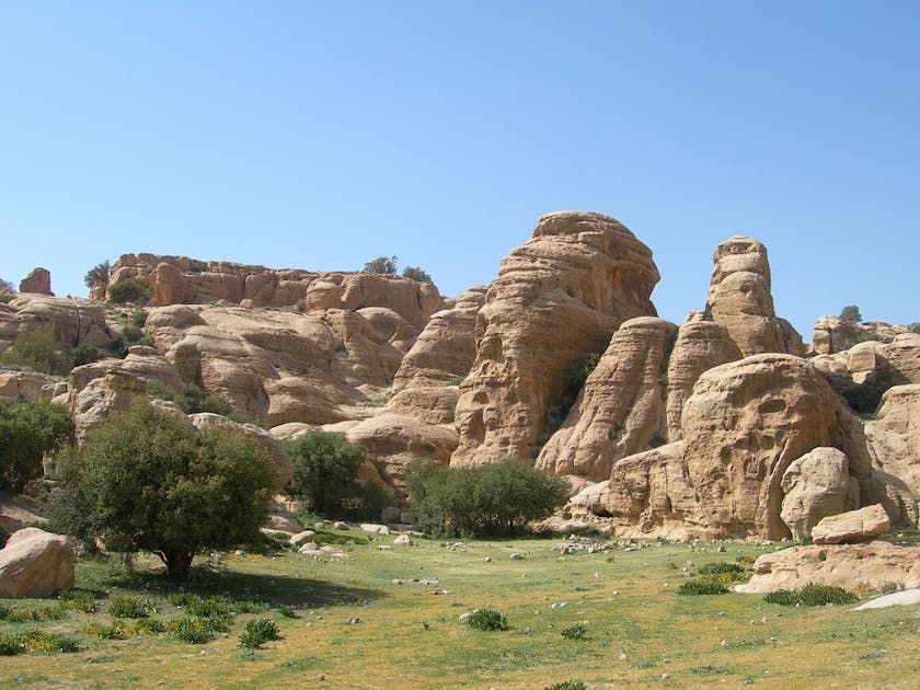 Syrian Xeric Grasslands and Shrublands | One Earth