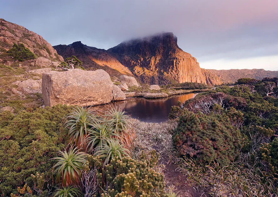 Tasmanian Temperate Rainforests | One Earth