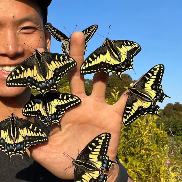 Climate Hero: Tim Wong | One Earth