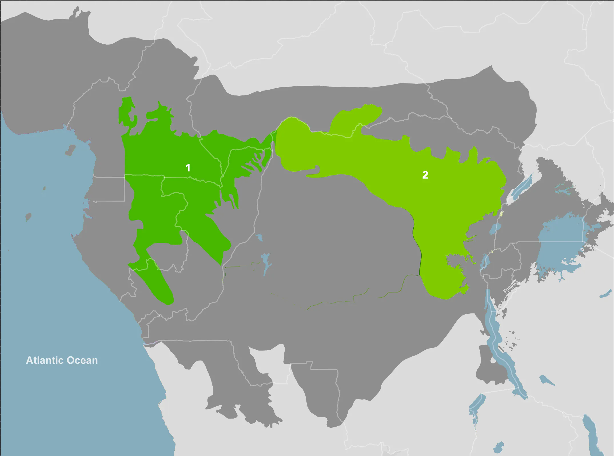 North Congolian Lowland Forests (AT15) | One Earth