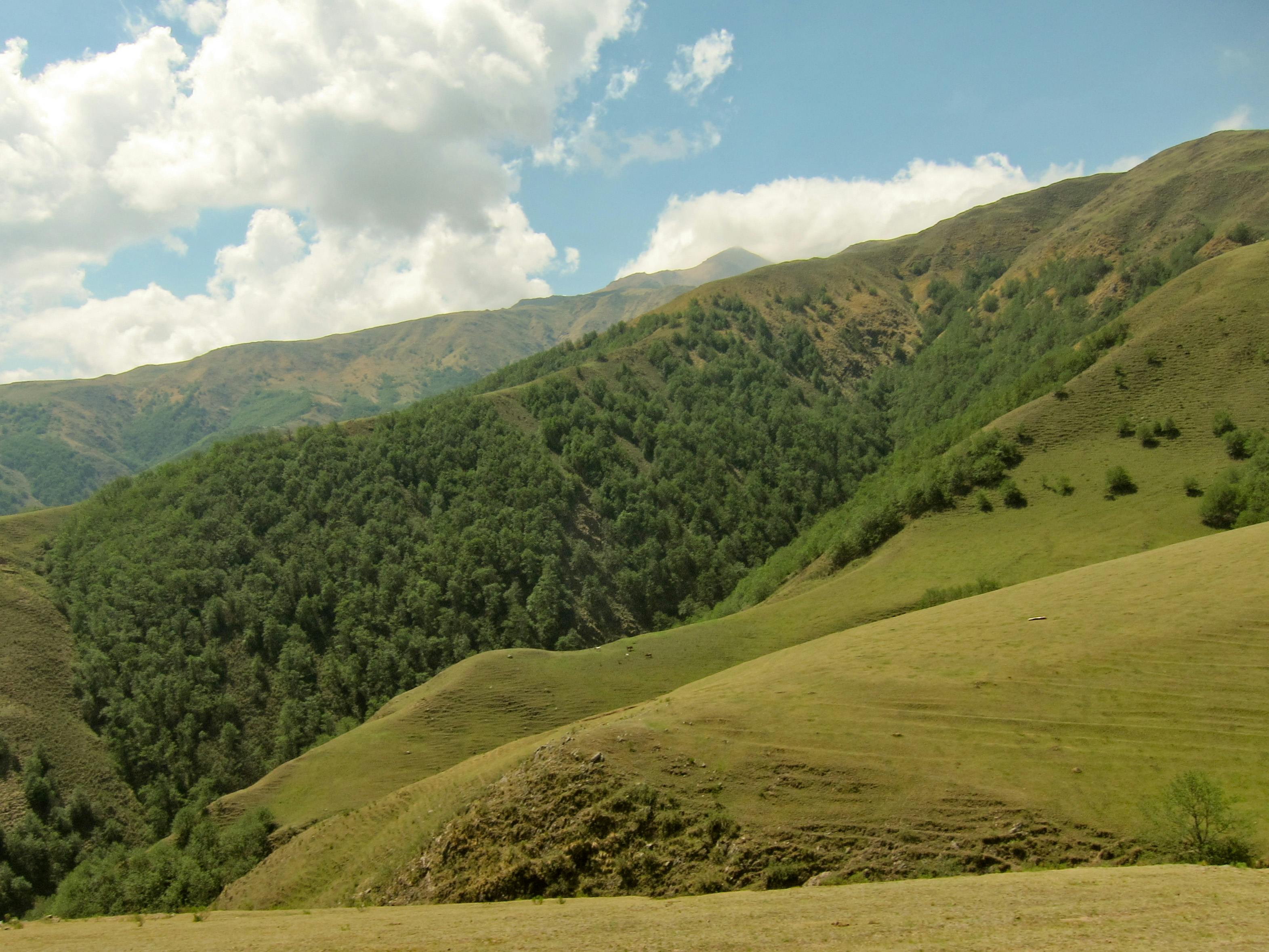 Andean Mountain Forests & Valleys (NT11) | One Earth