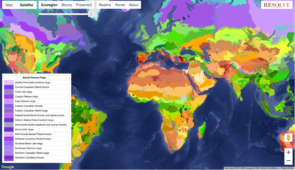 Announcing the release of Ecoregion Snapshots | One Earth