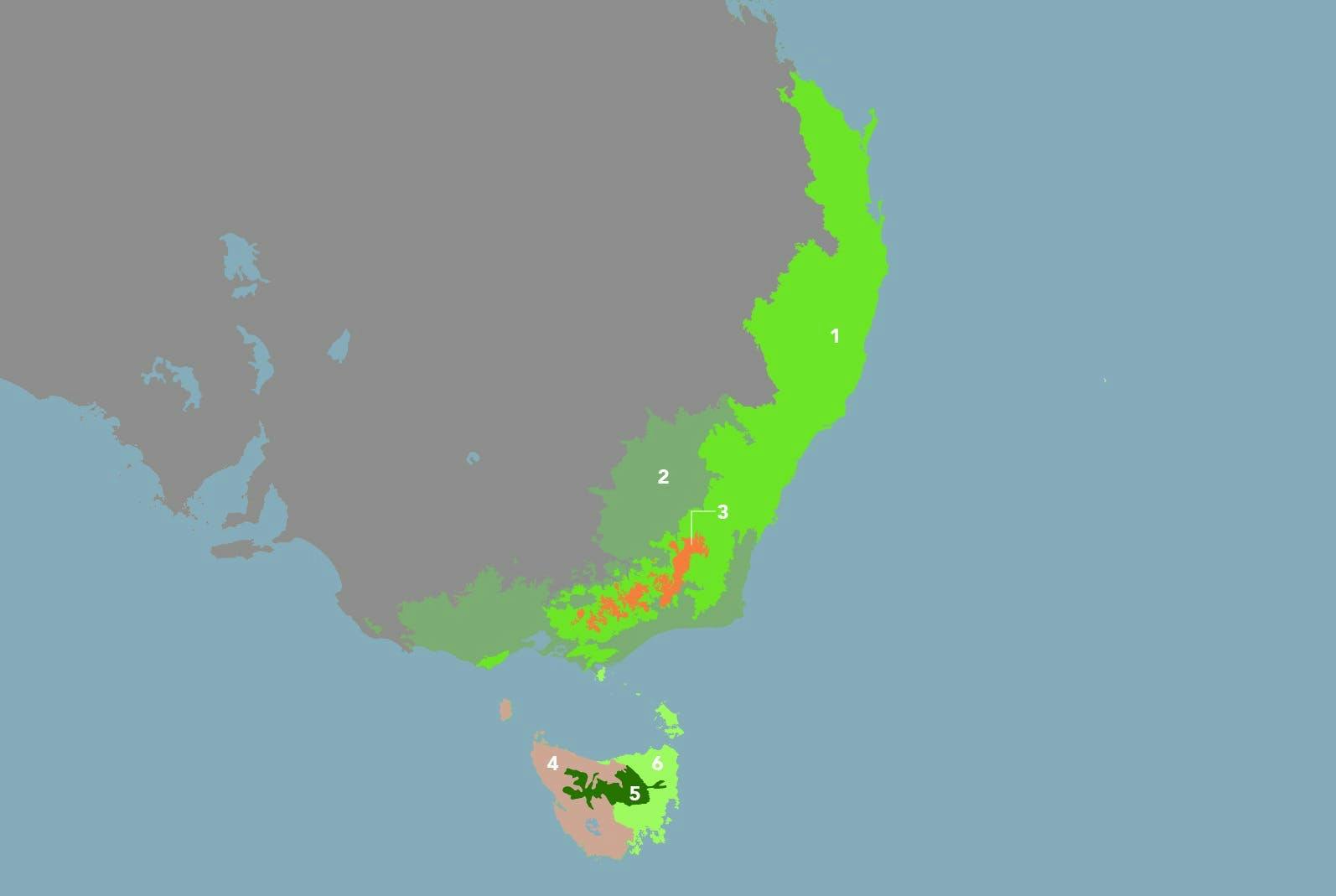 East Australian Temperate Forests & Mountain Shrublands (AU3) | One Earth