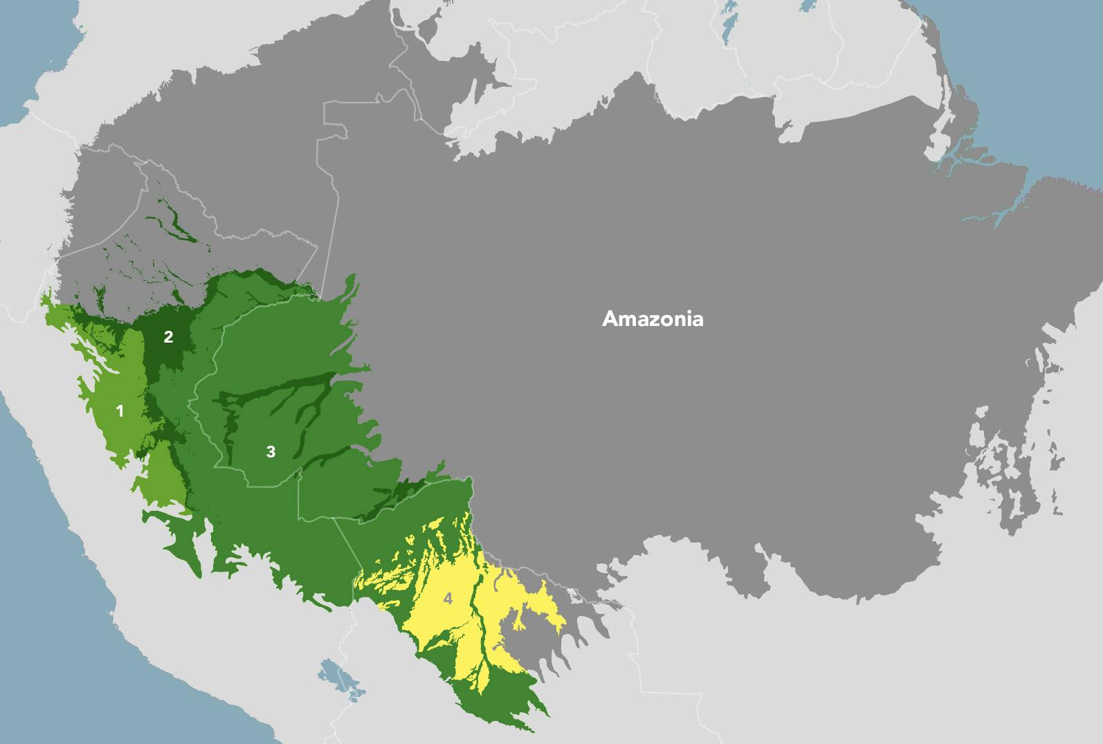 Western Amazonian Forests & Plains (NT18) | One Earth