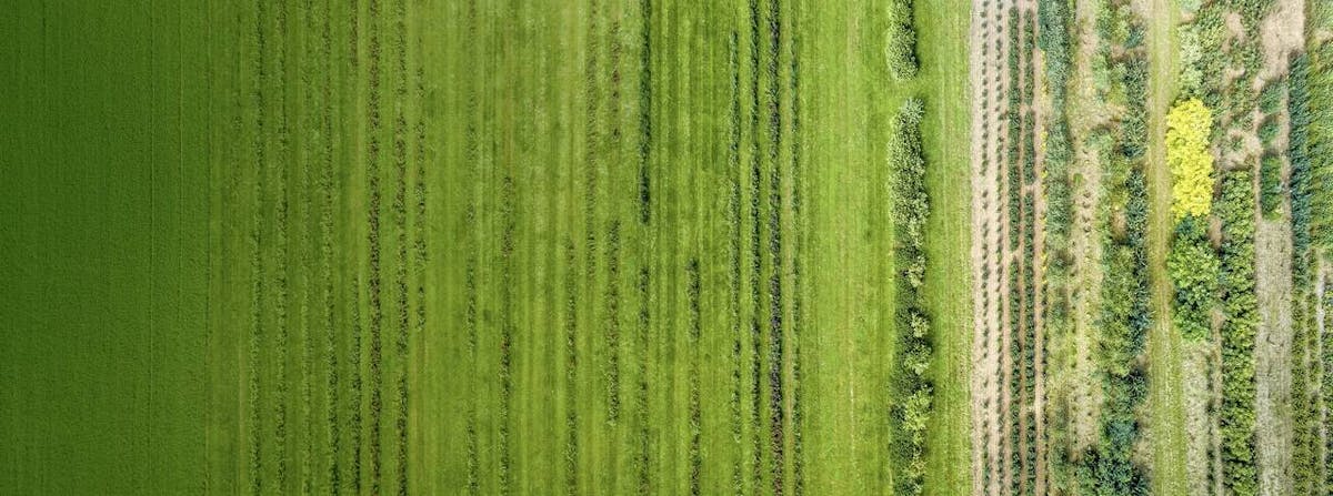 Cropland Restoration | One Earth