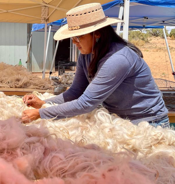 Preserving the Navajo Agro-Pastoral Lifeway: an Indigenous-led Navajo ...