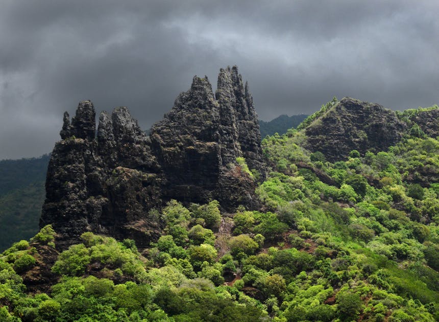 Central Polynesian Tropical Moist Forests | One Earth