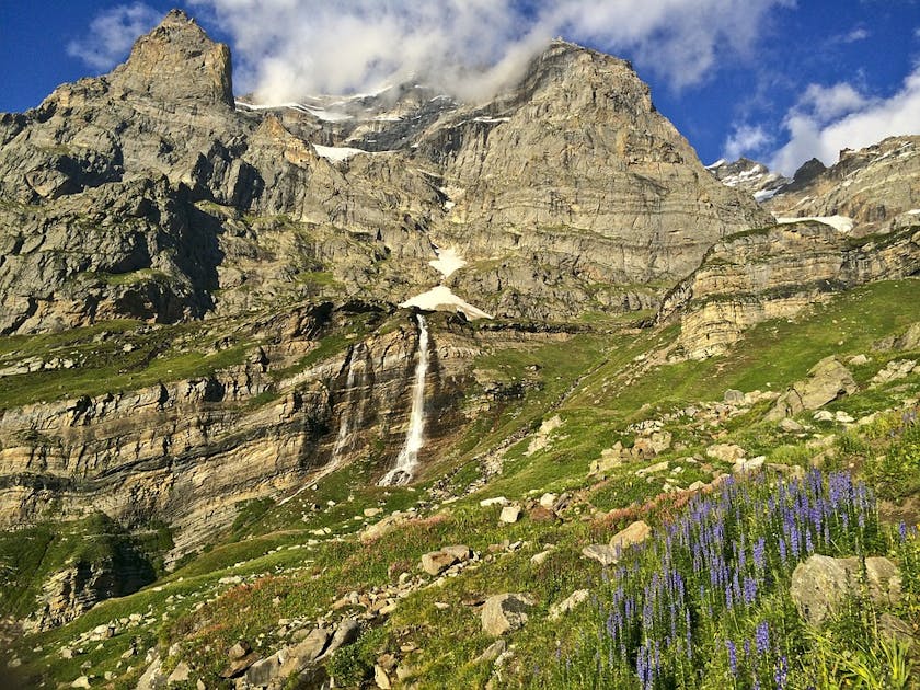 Karakoram-West Tibetan Plateau Alpine Steppe | One Earth