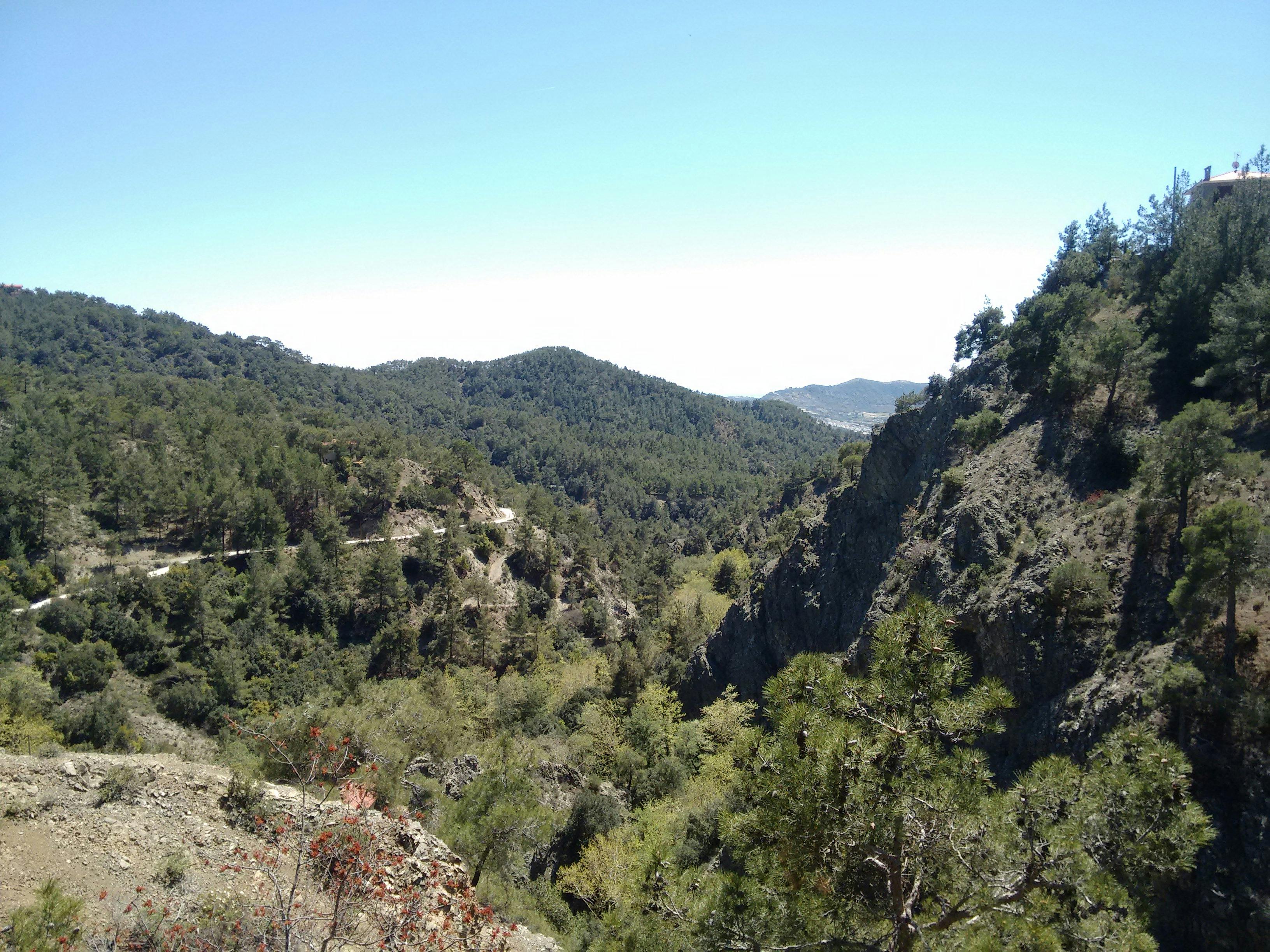 Cyprus Mediterranean Forests | One Earth