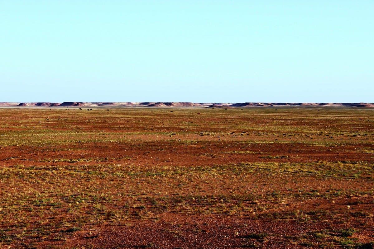 North Saharan Xeric Steppe and Woodlands | One Earth