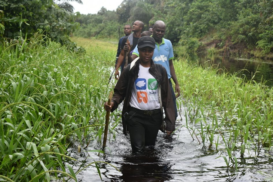 NGO fighting to save threatened species in southern Nigeria | One Earth