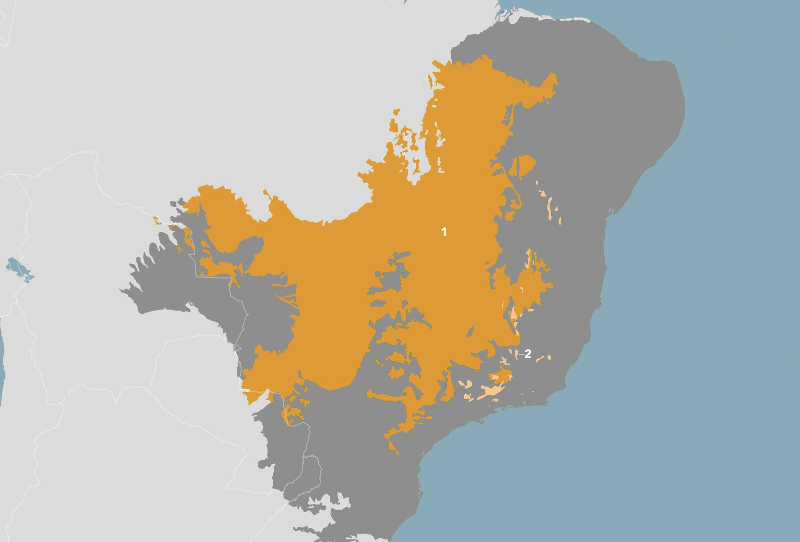 Cerrado Savannas (NT13) | One Earth