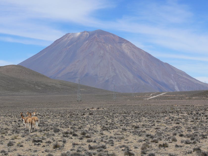 Central Andean Puna | One Earth
