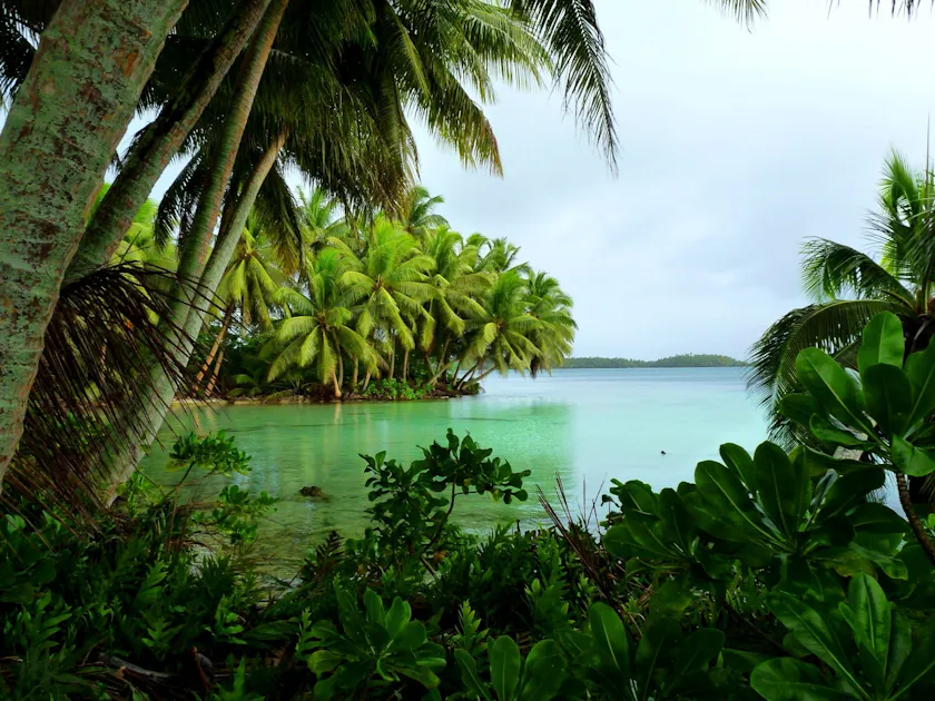 Palau & Caroline Tropical Islands (OC8) | One Earth