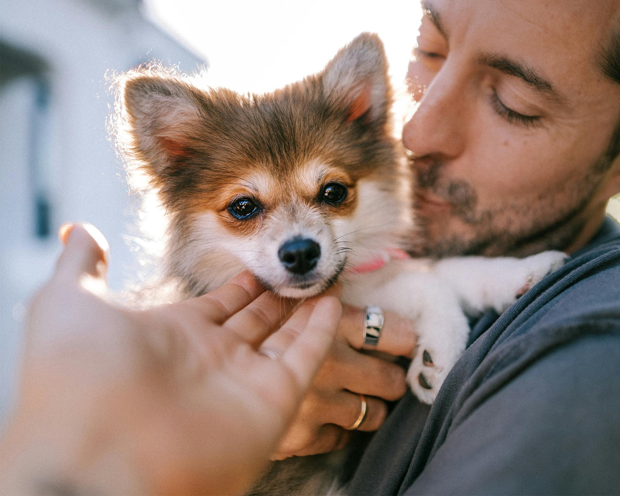 10 Essential Puppy Items To Buy For The First Week with A New Dog ...
