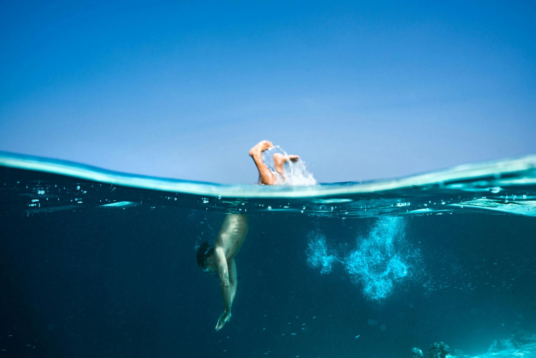 Away Lands Portfolio - Underwater Photography | Away Lands