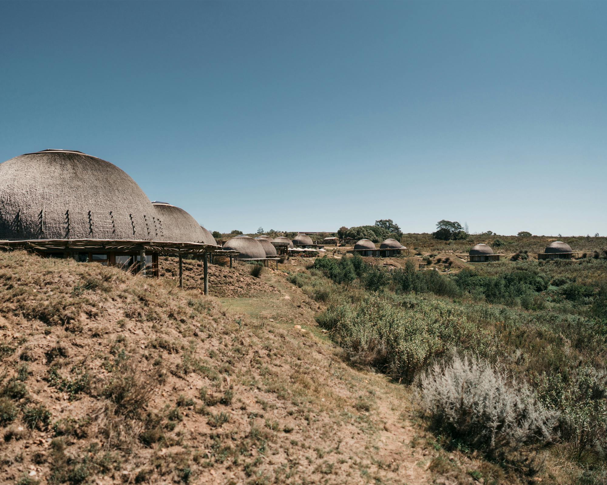 On Safari Near Cape Town: Gondwana Game Reserve, South Africa | Away Lands