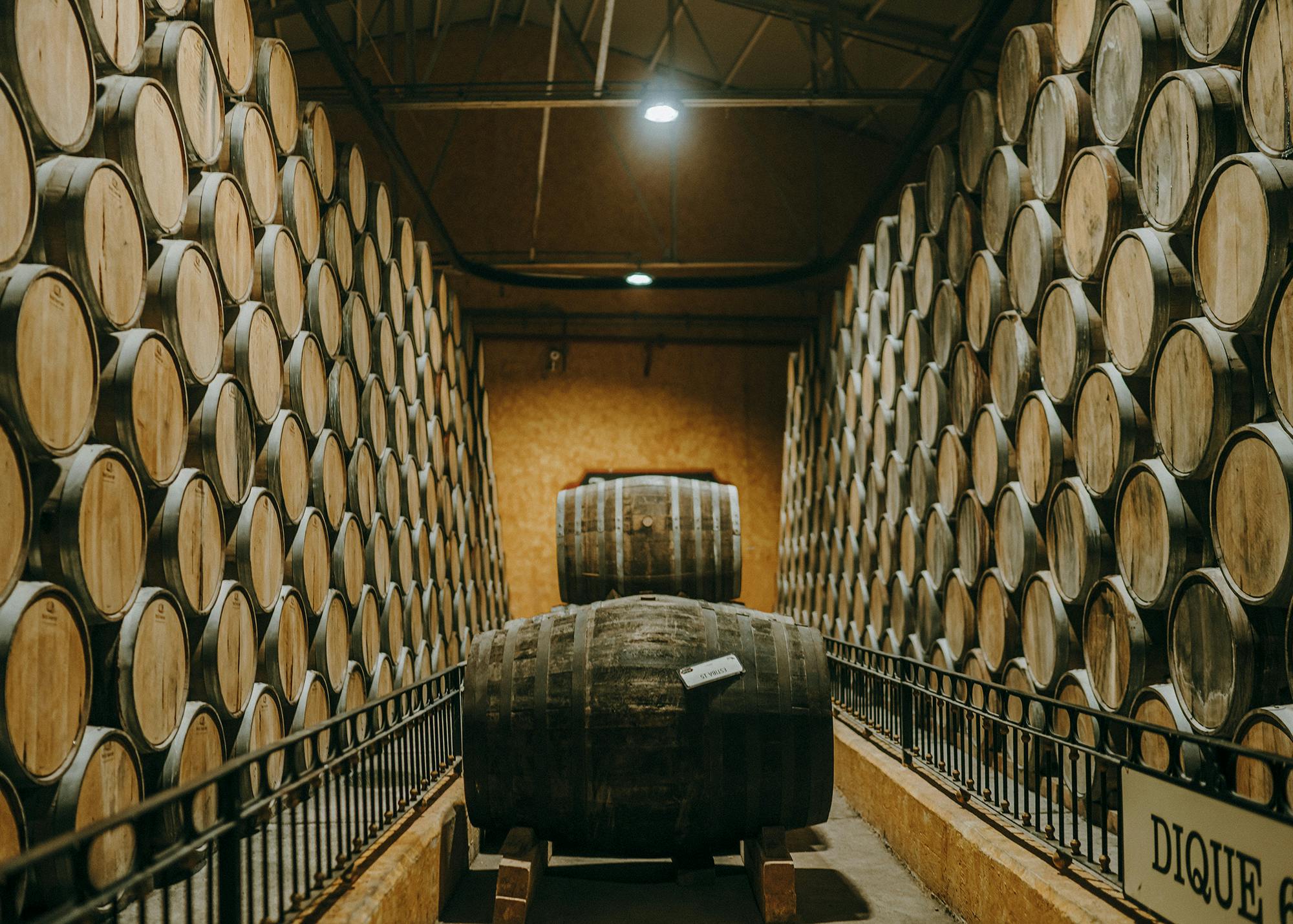 How To Take The Jose Cuervo Tequila Express Train To The Magical Town