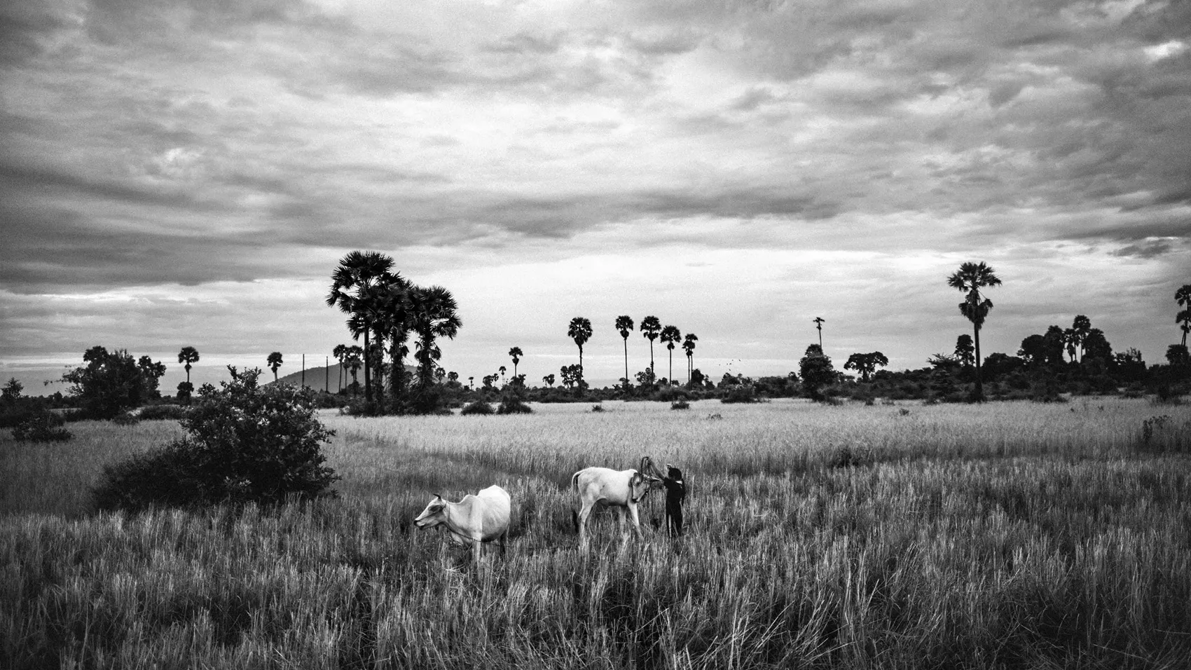 Into the Cambodian Countryside Photo Diary | Away Lands