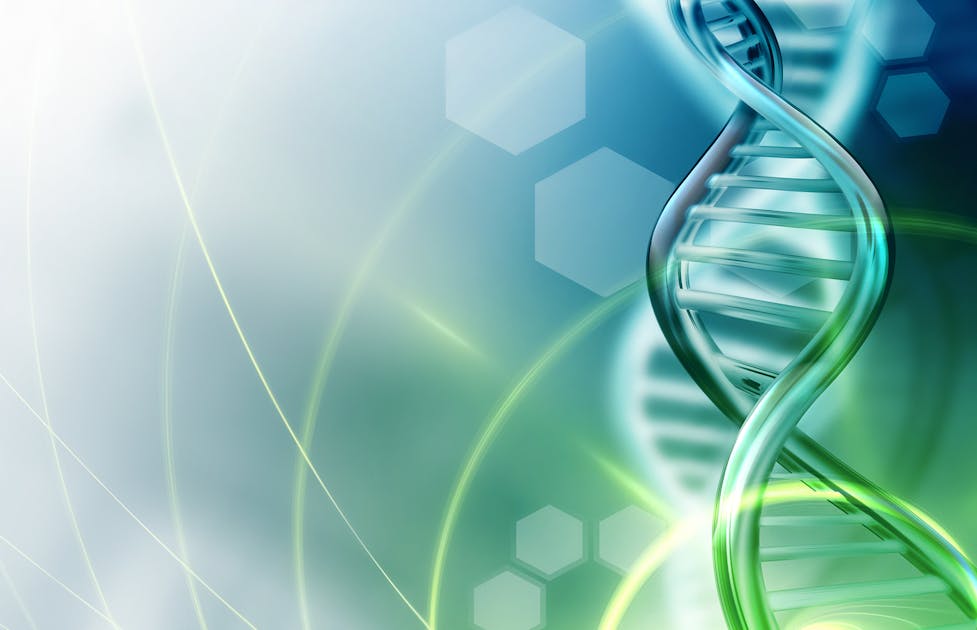 Disordered Proliferative Endometrium Genes May Play A Role Empowered