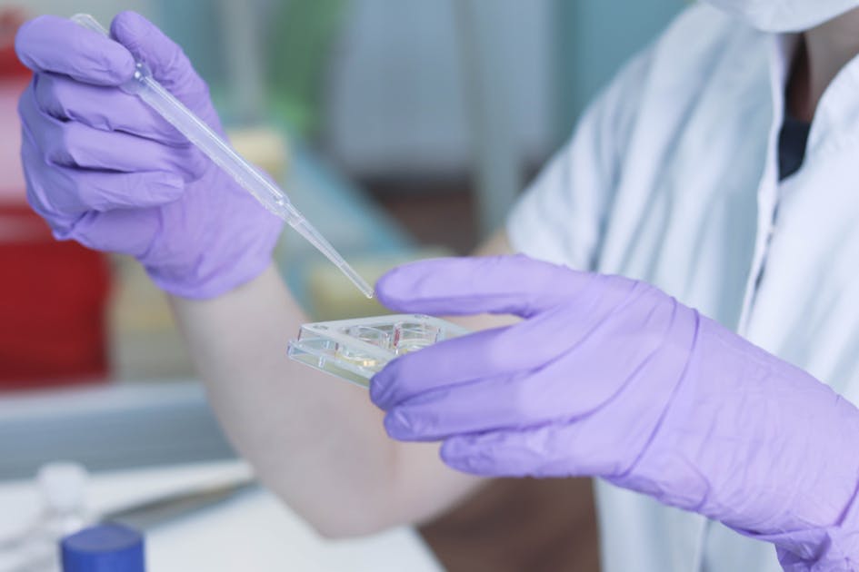 Making It Stick: The Benefits of an Embryo Transfer Medium | Empowered ...