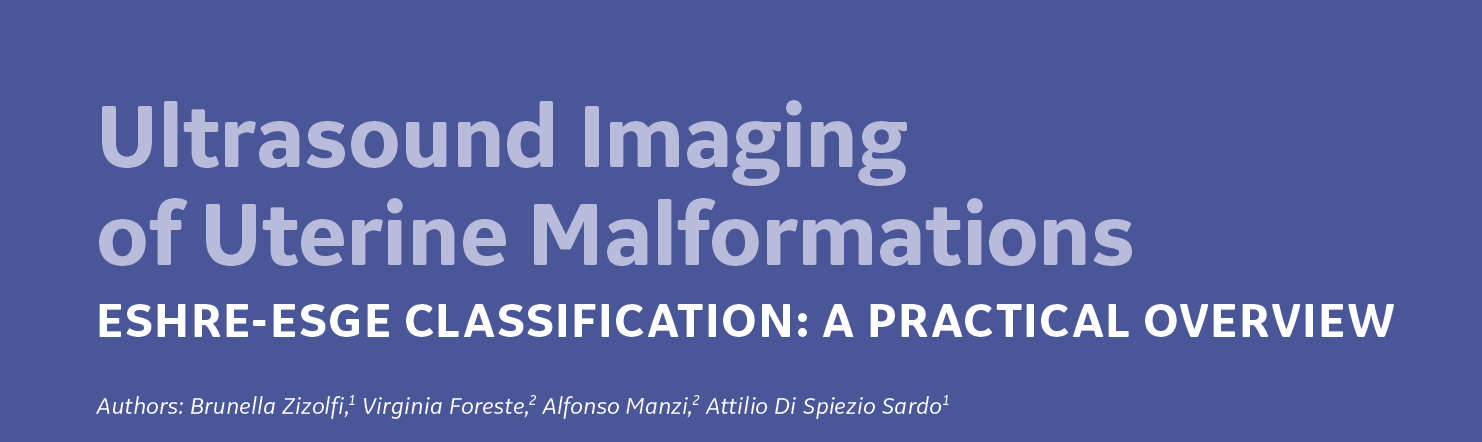 How 3D Ultrasound Can Help Classify Uterine Abnormalities | Empowered ...