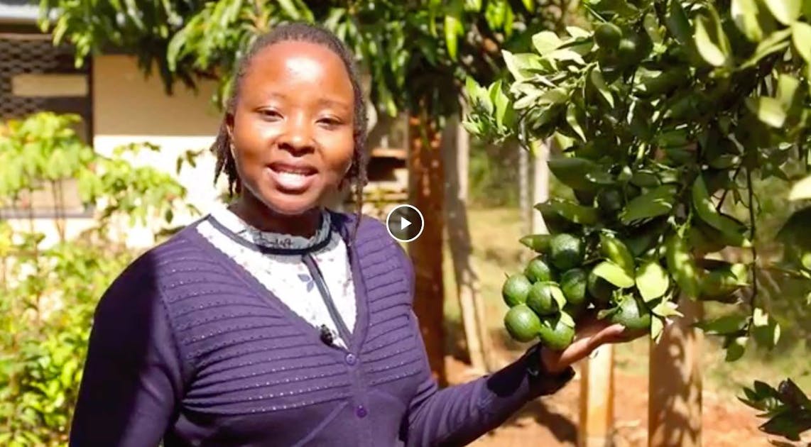 Regenerating Wild Food Species to Create Sustainable Food Systems in ...