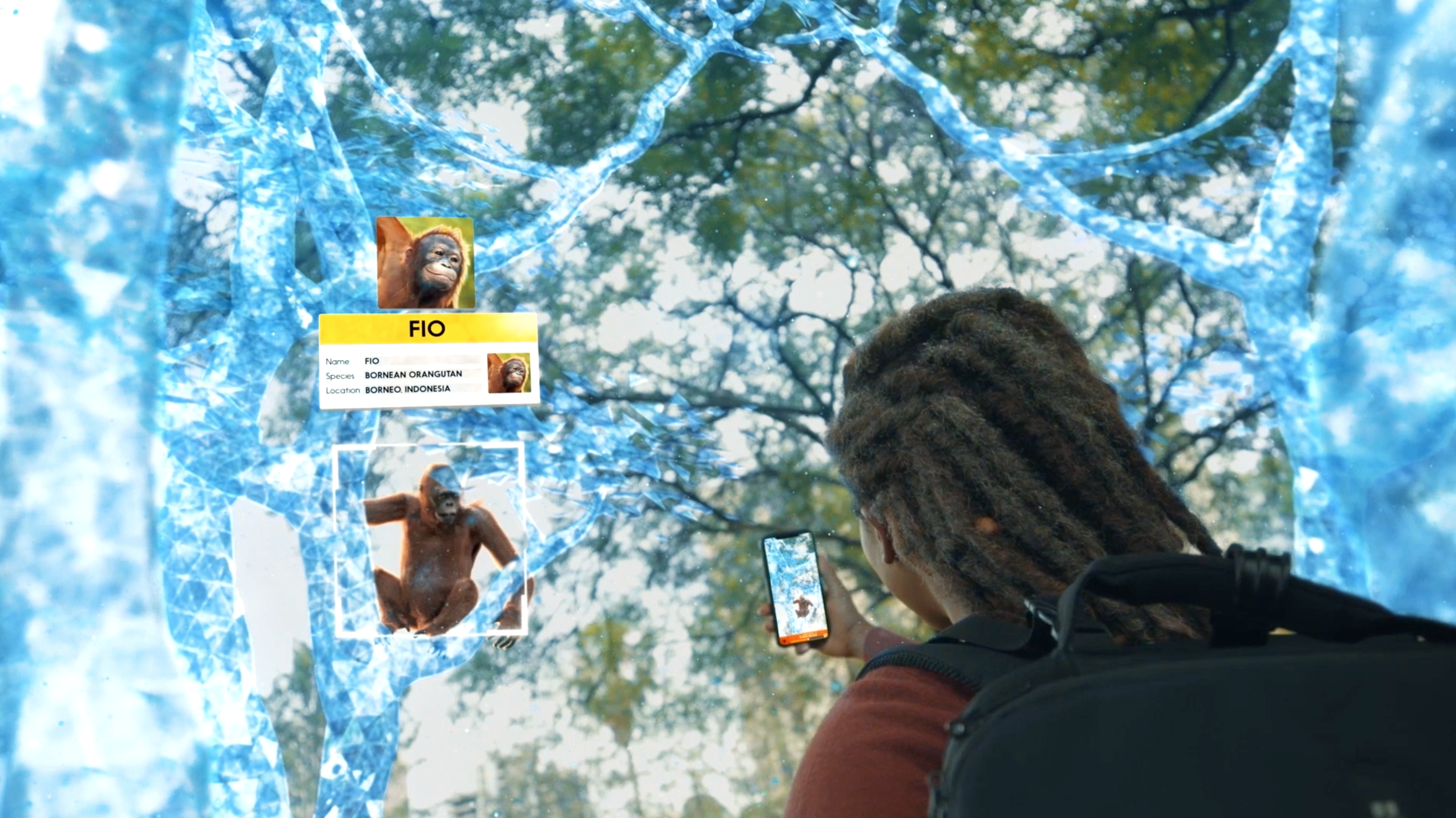 A real world version of Pokémon Go lets you track orangutans in the jungle