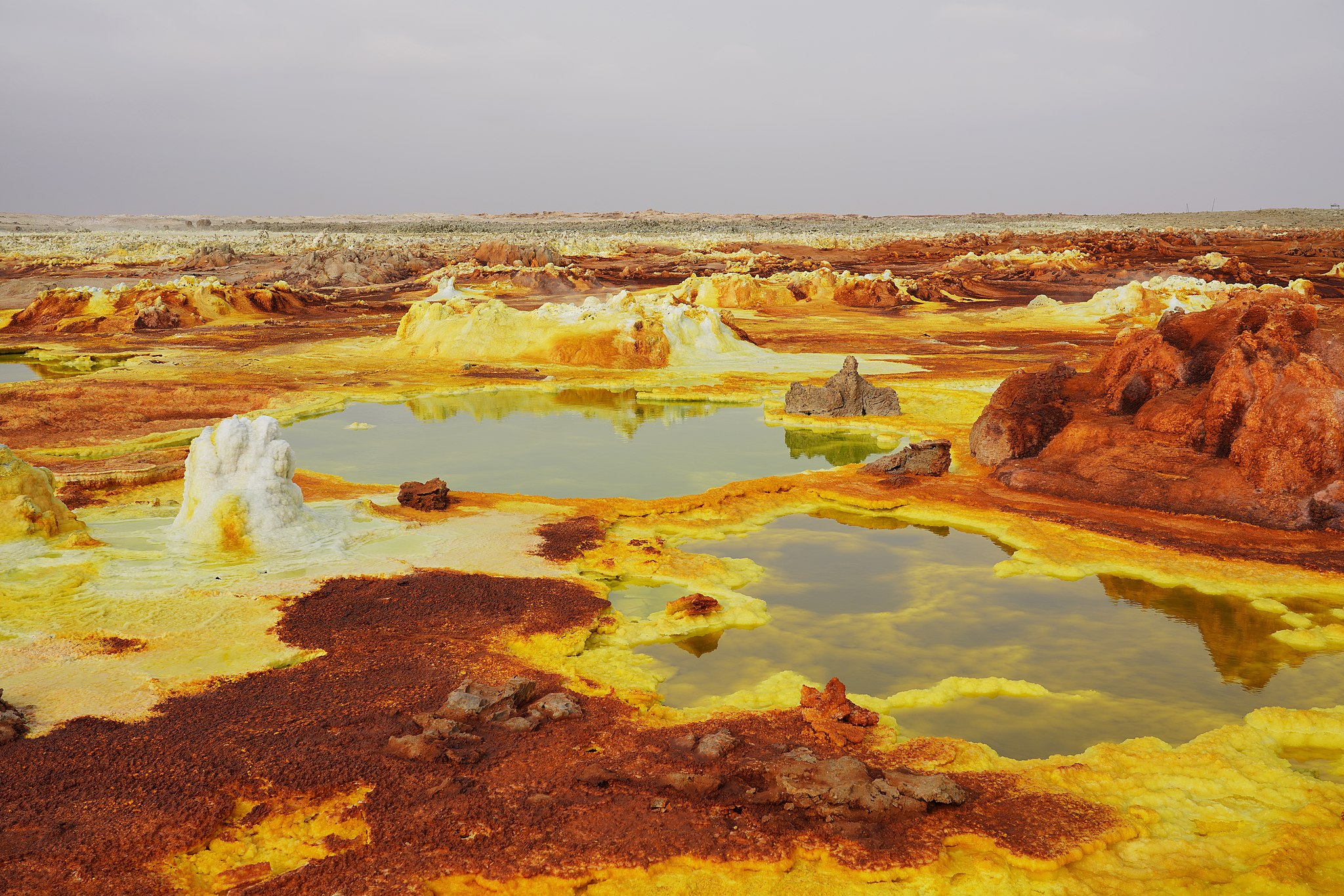There's life in one of the hottest, saltiest, most acidic, most ...
