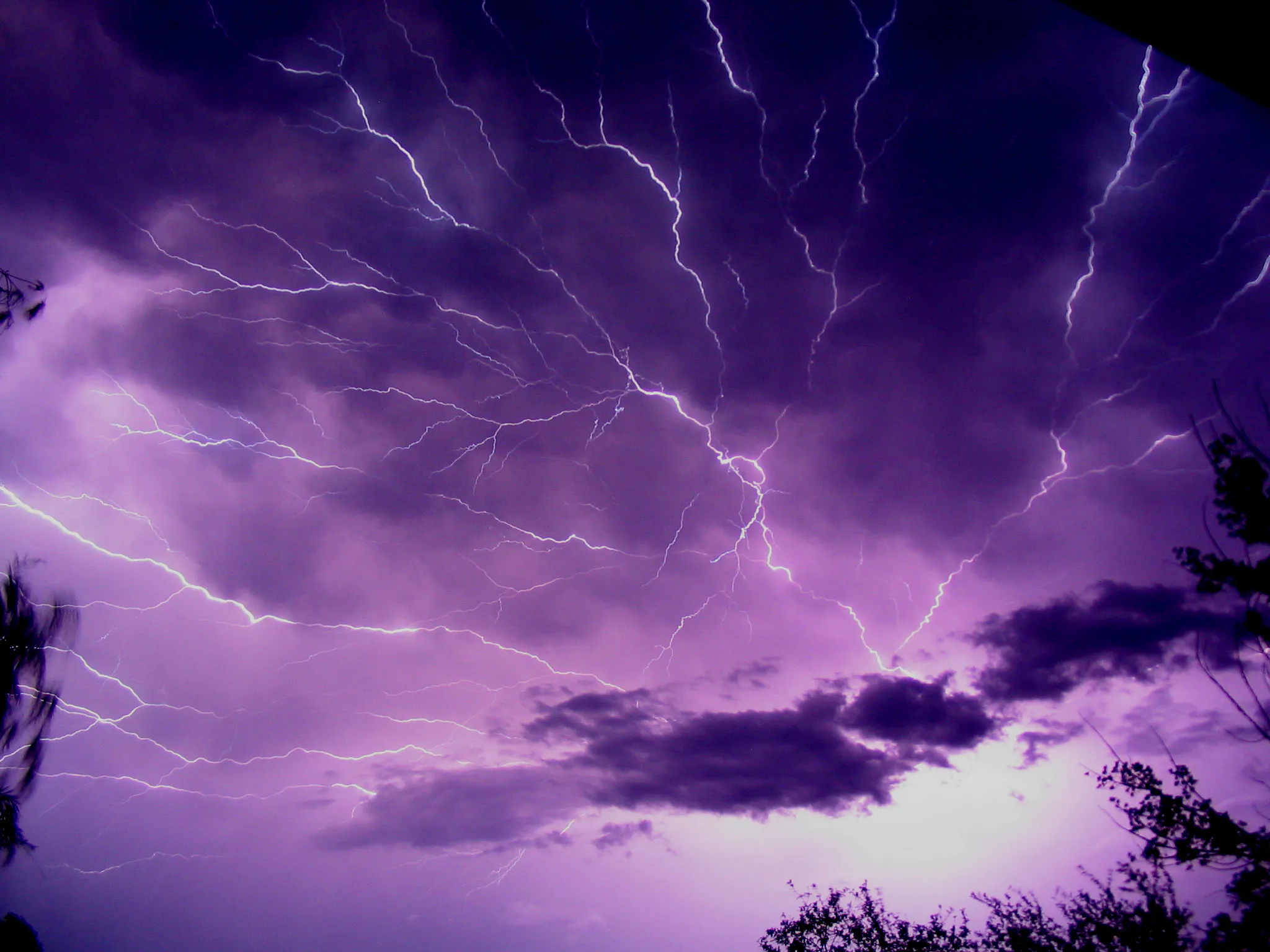 Lightning blasts on clay-rich soils support a dramatic theory of how ...