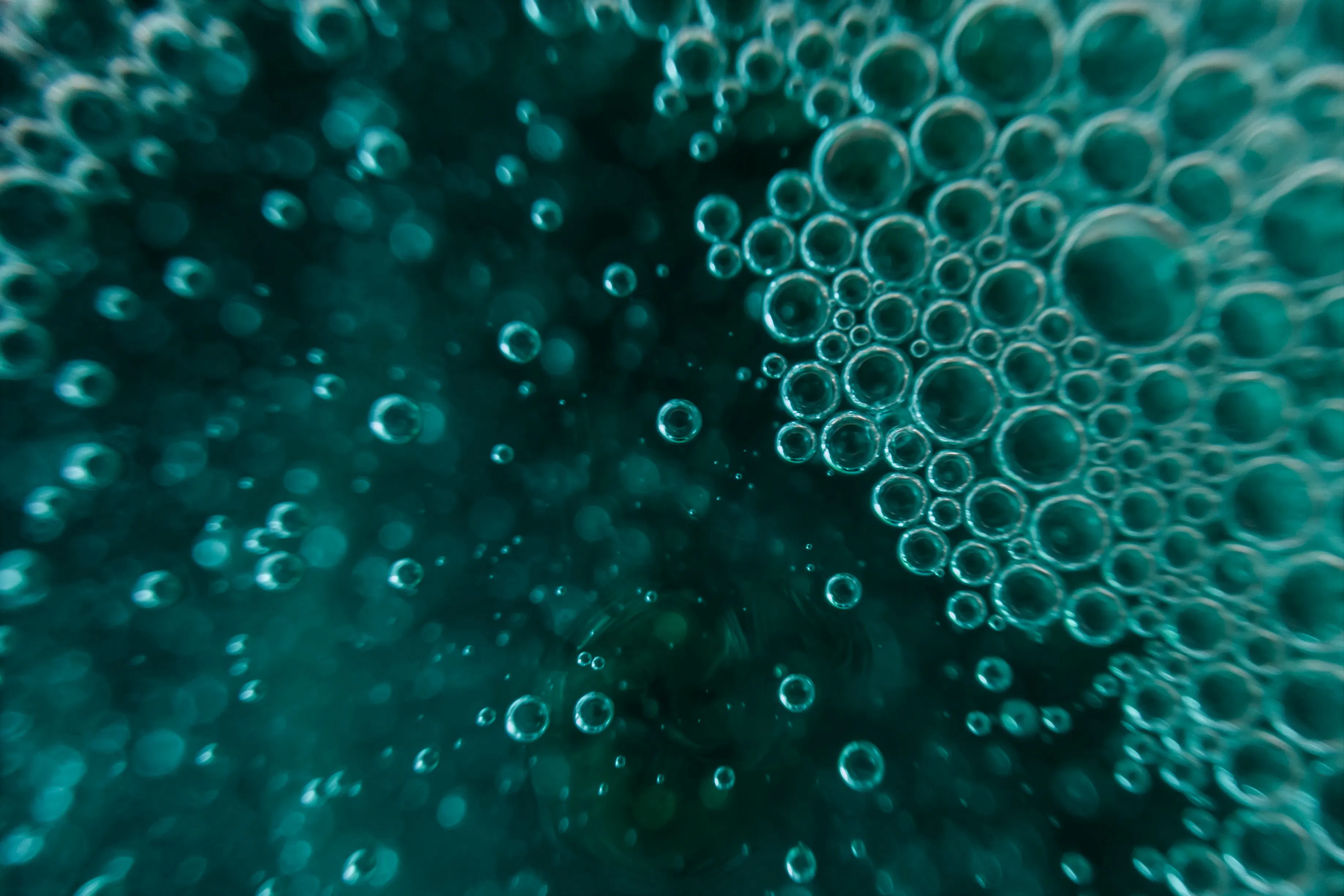 Marine archaea make oxygen in the dark using nitrite